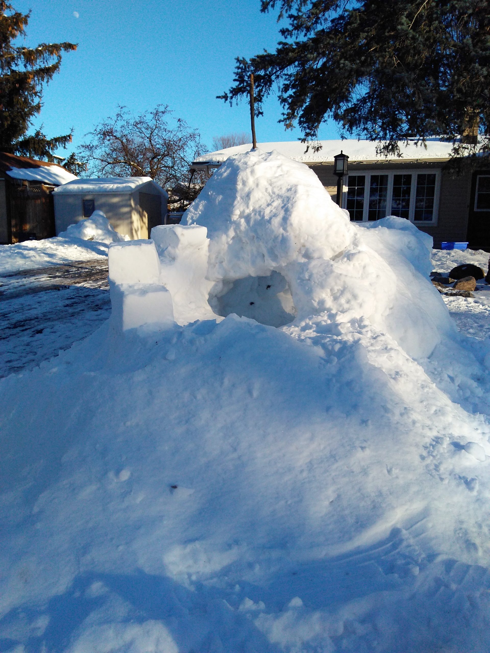 Snow Fort contest 2021 | Qualicum Graham Park Community Association