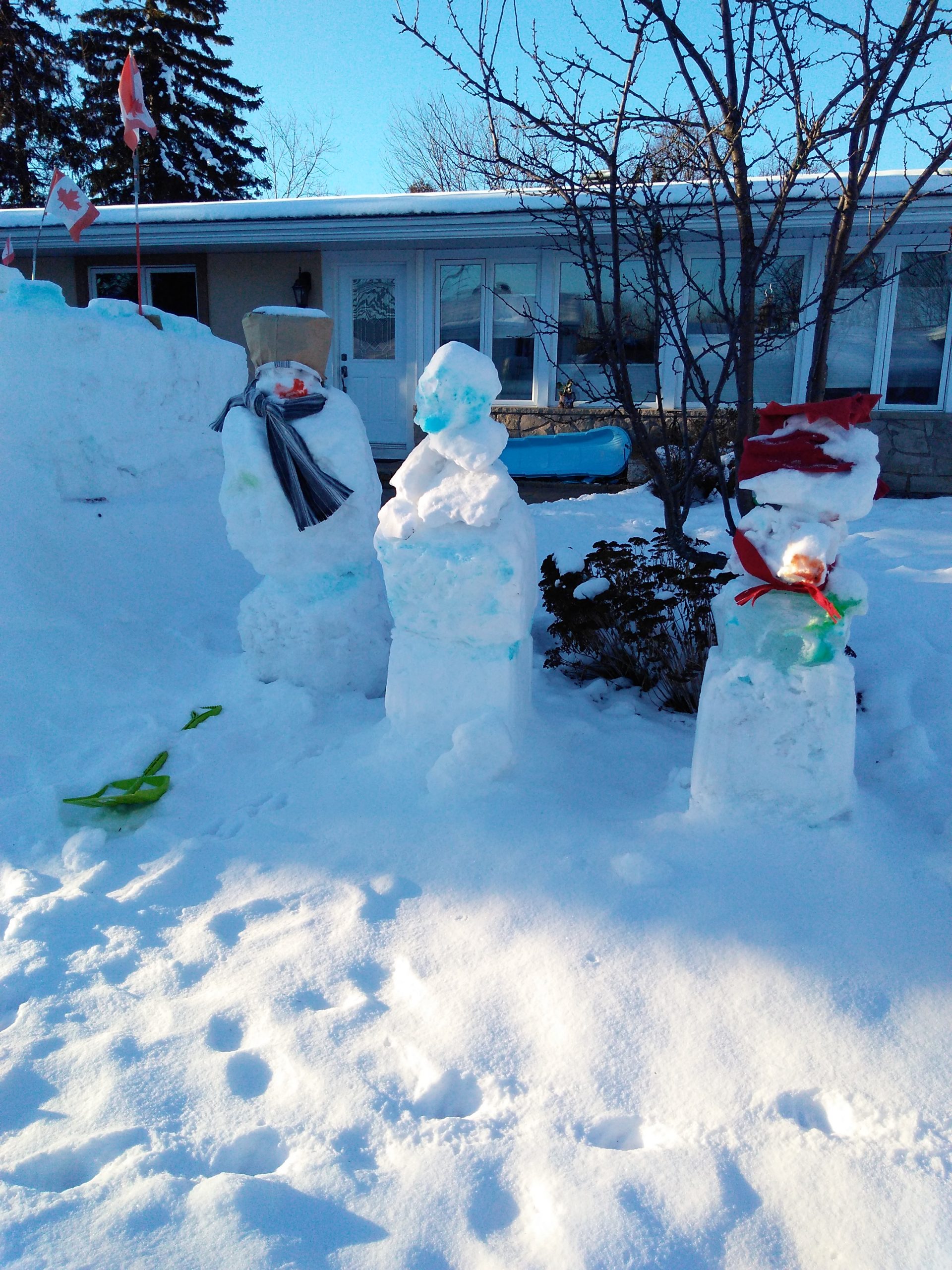 Snow Fort contest 2021 | Qualicum Graham Park Community Association