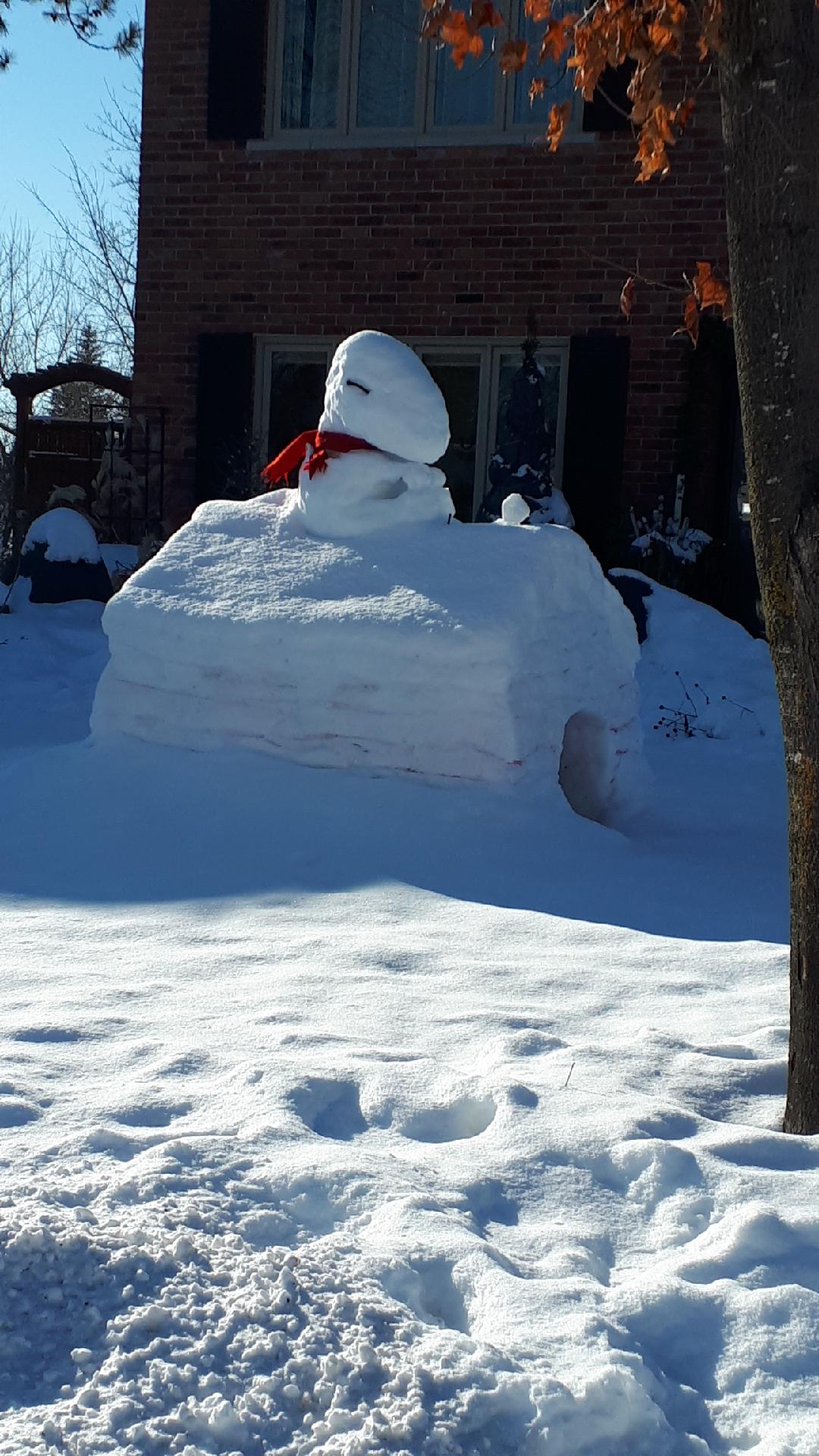 Snow Fort contest 2021 | Qualicum Graham Park Community Association