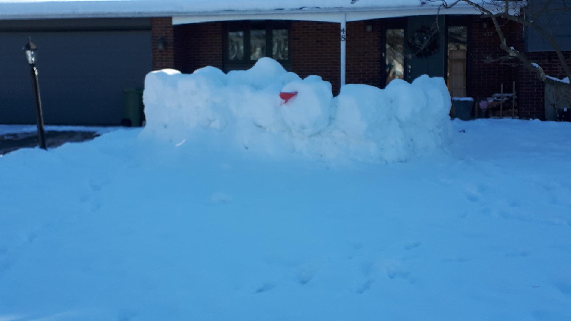 Snow Fort contest 2021 | Qualicum Graham Park Community Association
