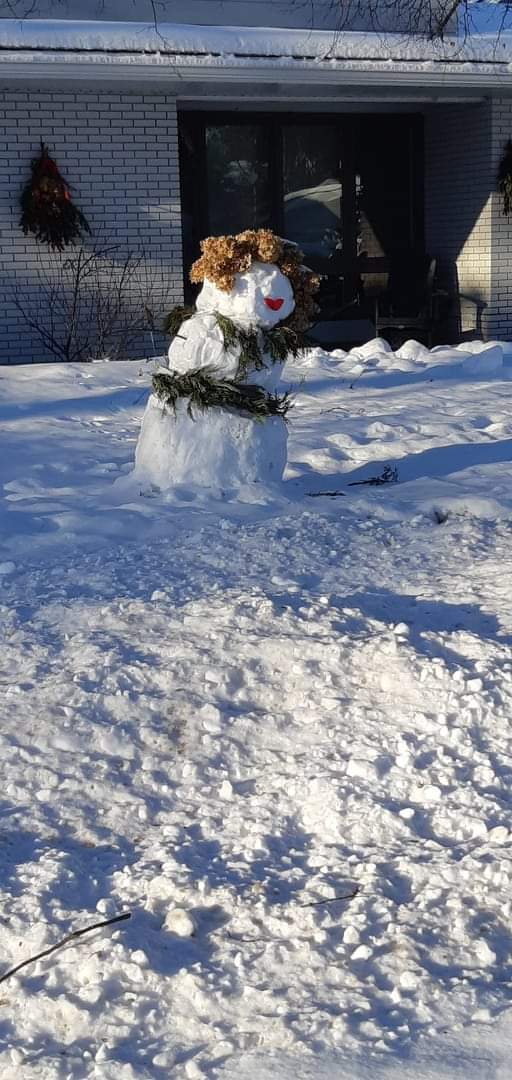 Snow Fort contest 2021 | Qualicum Graham Park Community Association